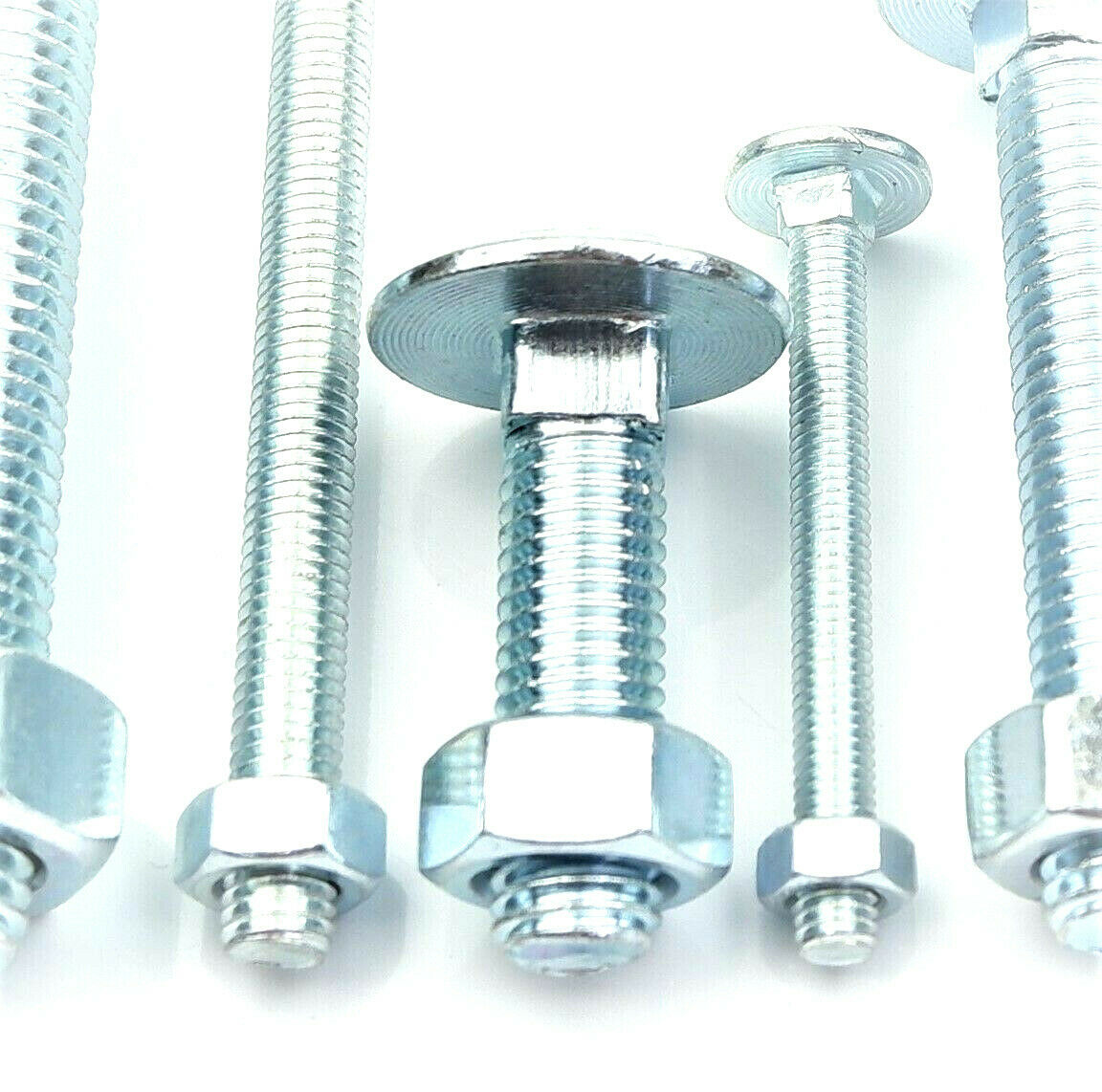 Cup Square Carriage Bolts